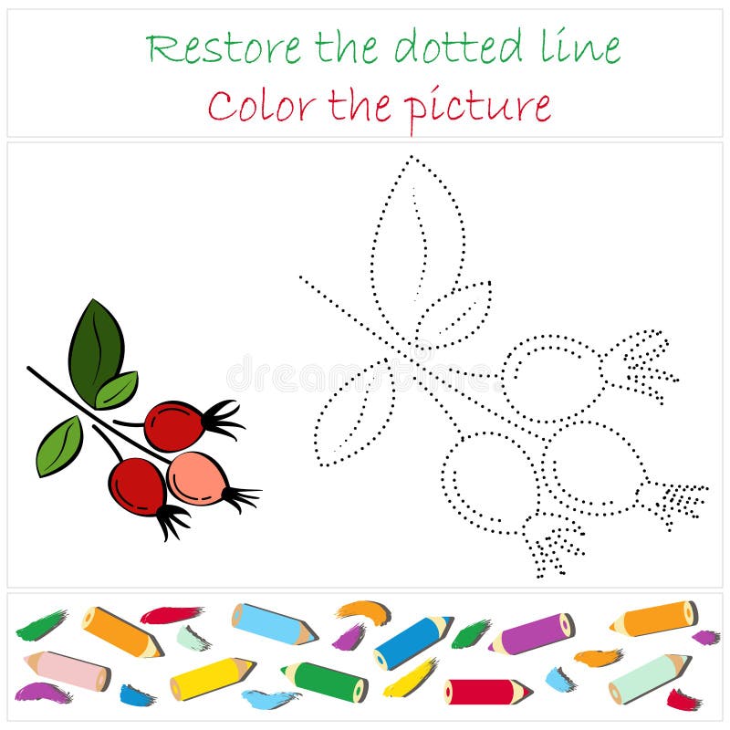 Rosehip. Educational Developing Game for Preschoolers "Trace and Color ...