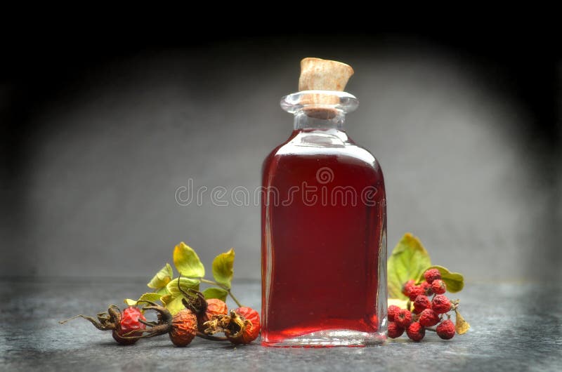 Rosehip liquor stock image. Image of liquor, nature, liquid - 26474669