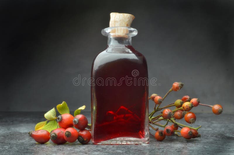 Rosehip liquor stock photo. Image of berry, fruit, liquid - 26537932