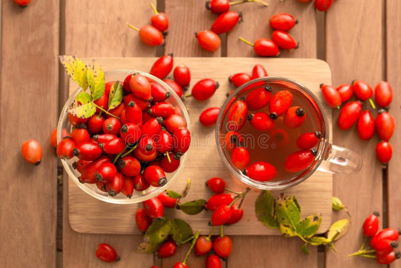 Rosehip stock image. Image of green, market, perfu, color - 102012271