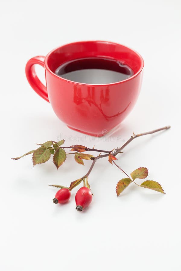 Rosehip (Rosa canina) stock image. Image of bush, food - 34272635