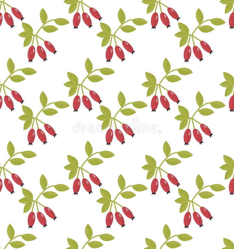Rosehip Seamless Pattern. Hawthorn Endless Background. Red Autumn ...