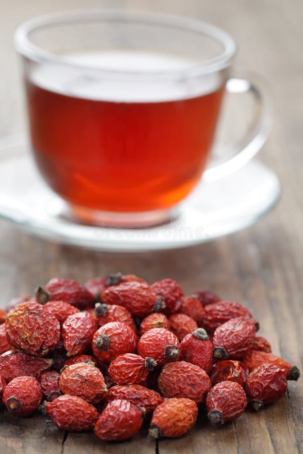 Rosehip tea stock image. Image of nutrition, drink, rosehip - 18742455