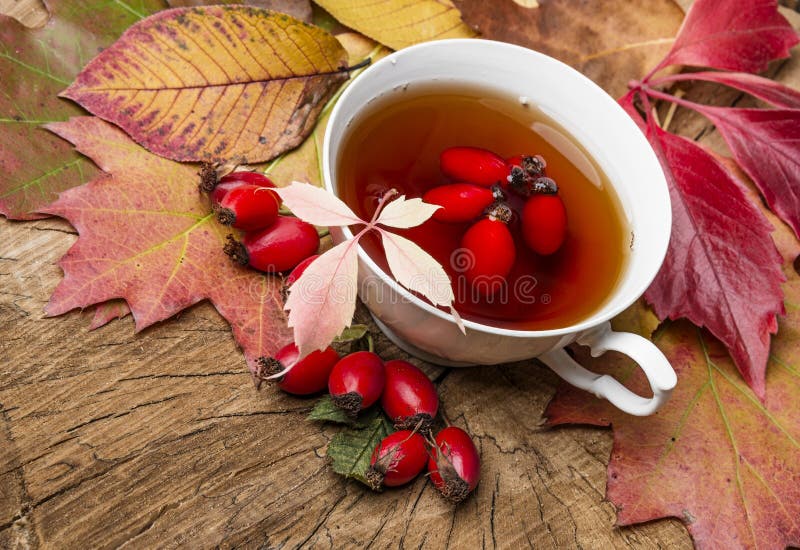 Rosehip tea stock photo. Image of colors, beverage, floral - 34002742