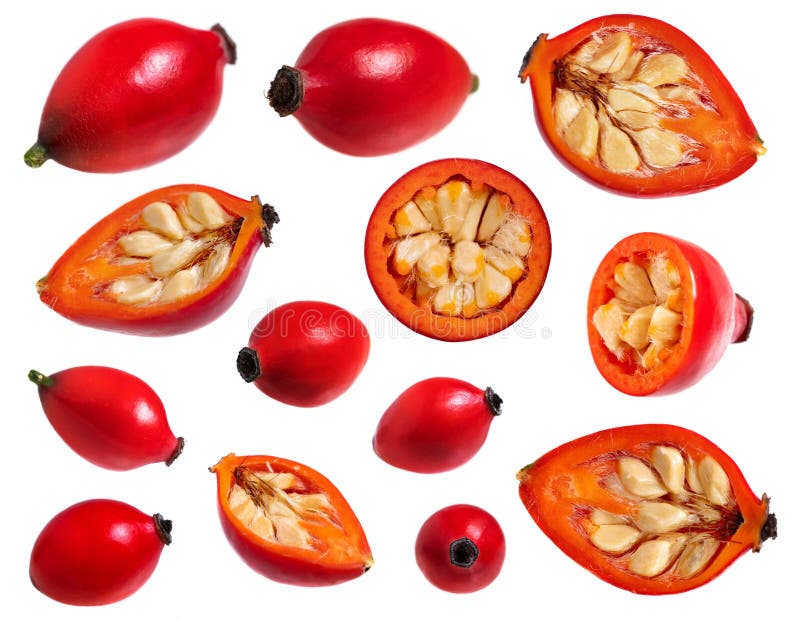Rosehips. Half Rose Hip Isolated. Rose Hip on a White Stock Photo ...