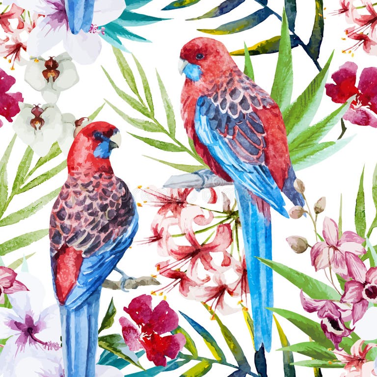 Rosella bird pattern stock vector. Illustration of rosella - 52157818