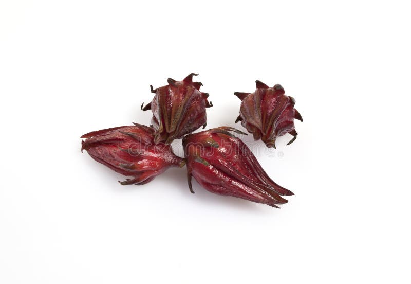 Roselle stock image. Image of flower, vegetable, tropical - 29684803