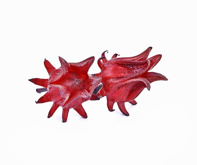 Roselle Fresh White Background Stock Image - Image of agricultural ...