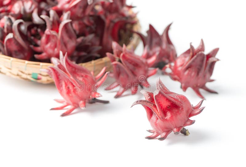 Roselle fruit isolated stock image. Image of white, sorrel - 62953399