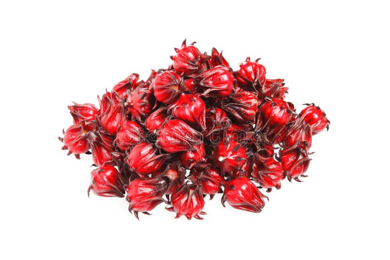 Roselle fruit stock photo. Image of batch, botany, deccan - 230874882