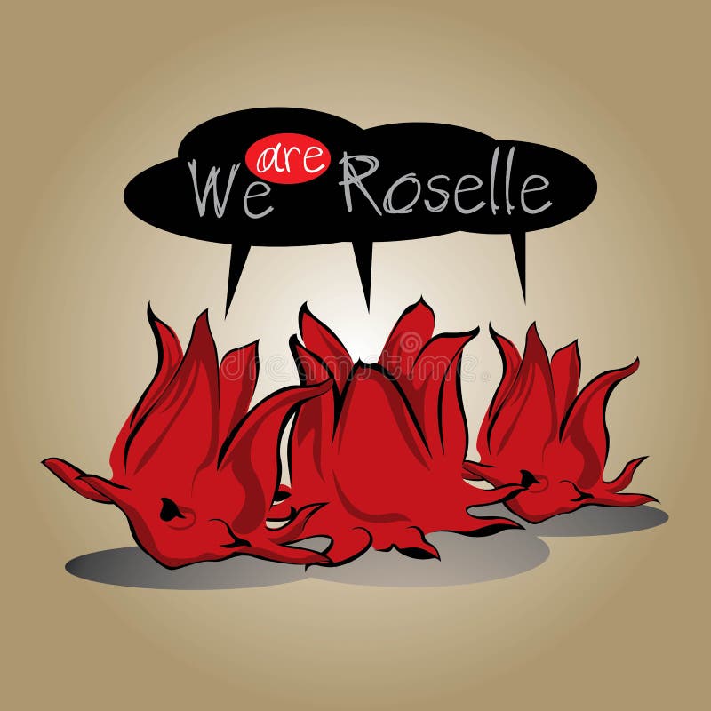 Roselle herb. stock illustration. Illustration of herb - 55707726