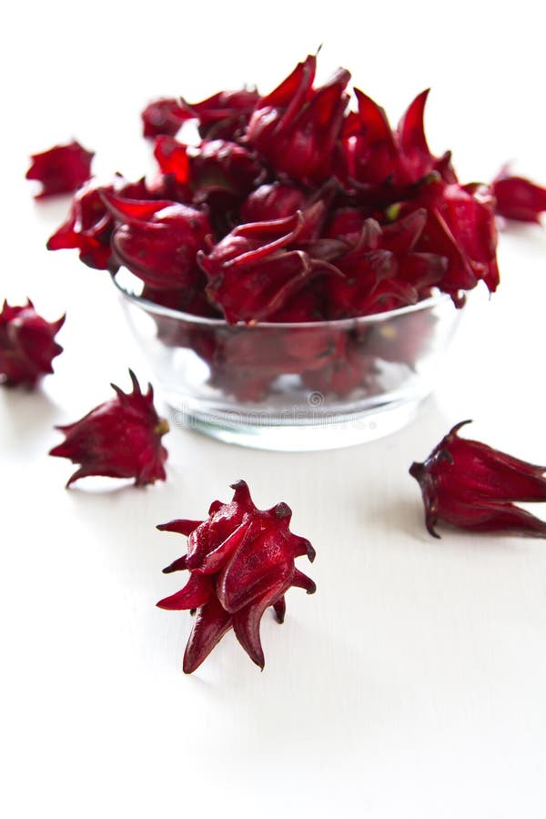 Roselle [Hibiscus Sabdariffa] Stock Photo - Image of tropical, flower ...