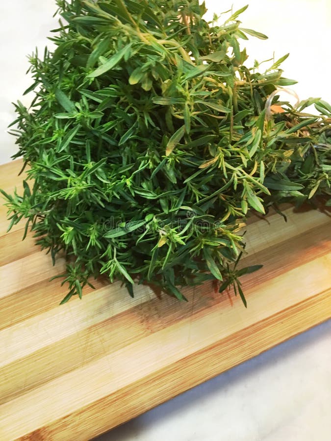 Rosemary Background Isolate Stock Image - Image of closeup, backgrounds ...