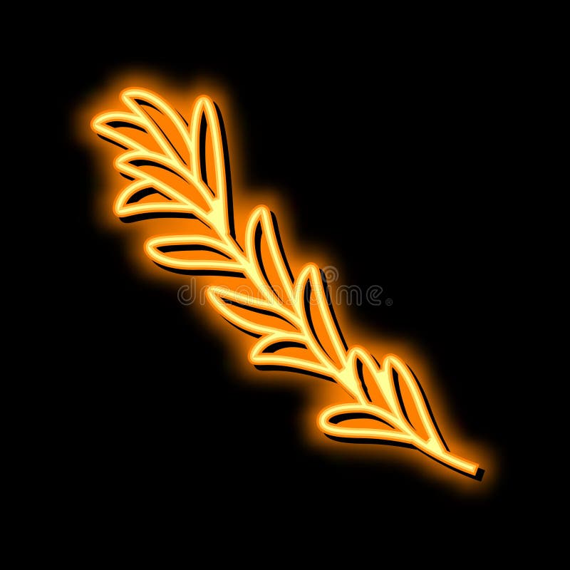Rosemary Branch Neon Glow Icon Illustration Stock Vector - Illustration ...