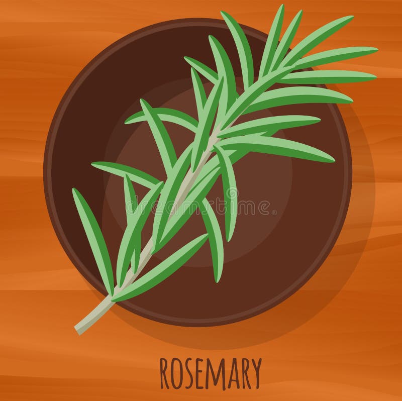 Rosemary Flat Design Vector Icon. Stock Vector - Illustration of branch ...