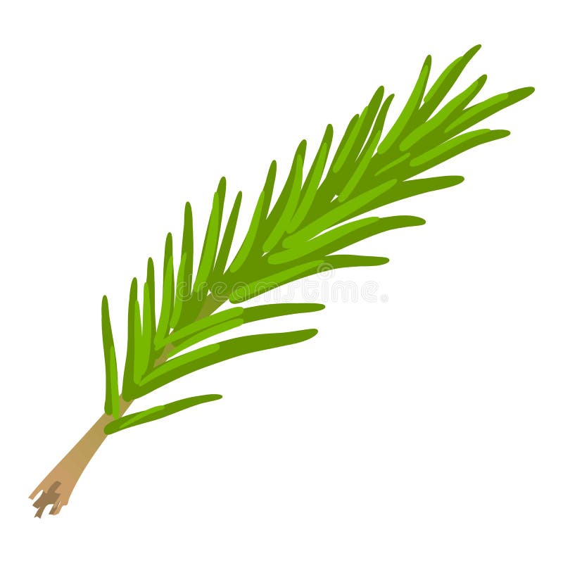 Rosemary Icon, Cartoon Style Stock Vector - Illustration of decoration ...