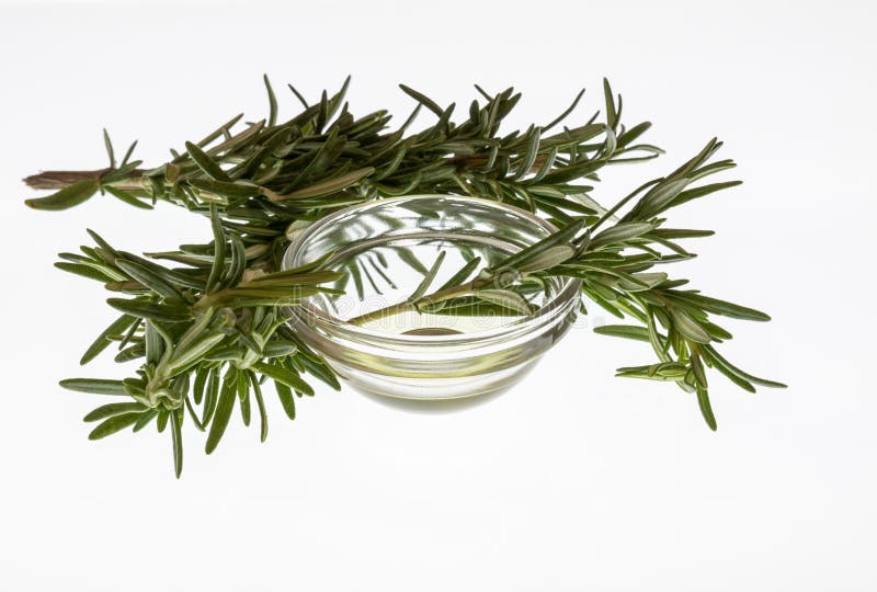 Rosemary infused oil stock image. Image of glass, organic - 85305701