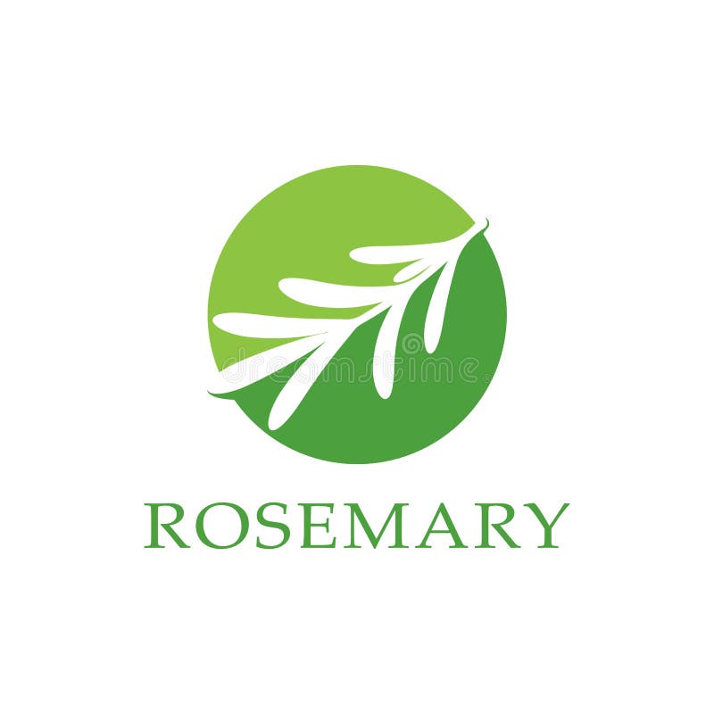 Rosemary Leaf Vector Logo Illustration Template Stock Vector ...