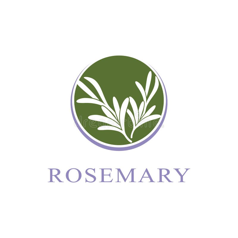 Rosemary Leaf Vector Logo Illustration Template Stock Vector ...