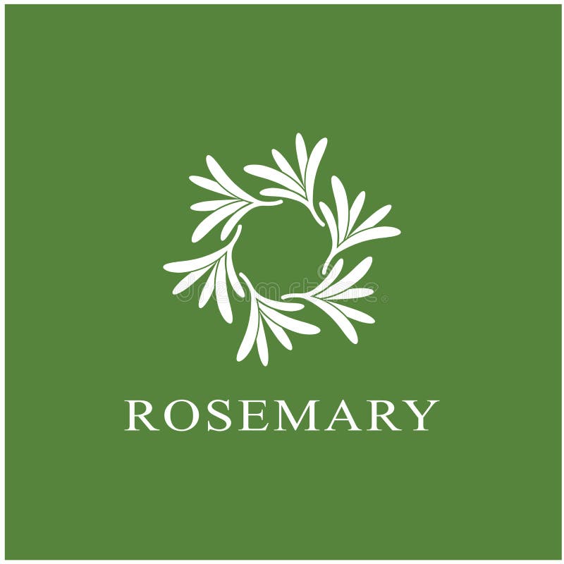 Rosemary Leaf Vector Logo Illustration Template Stock Vector ...