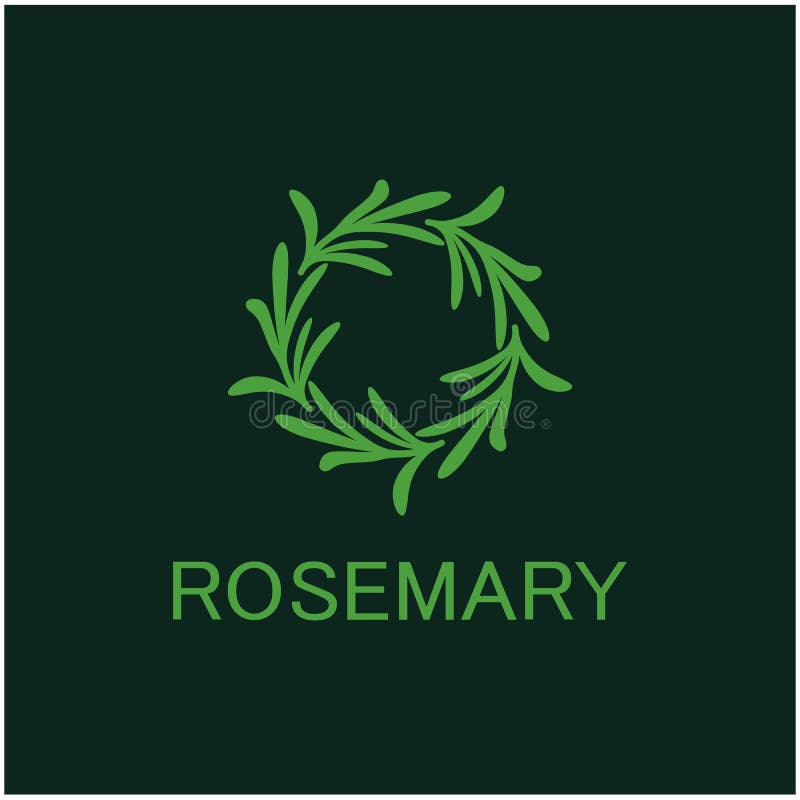 Rosemary Leaf Vector Logo Illustration Template Stock Vector ...