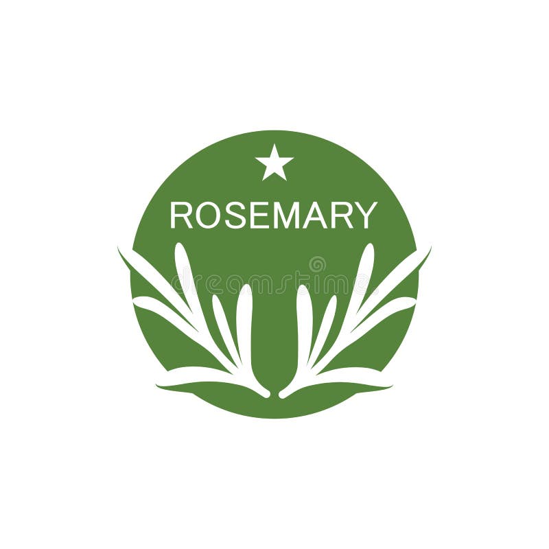 Rosemary Leaf Vector Logo Illustration Template Stock Vector ...