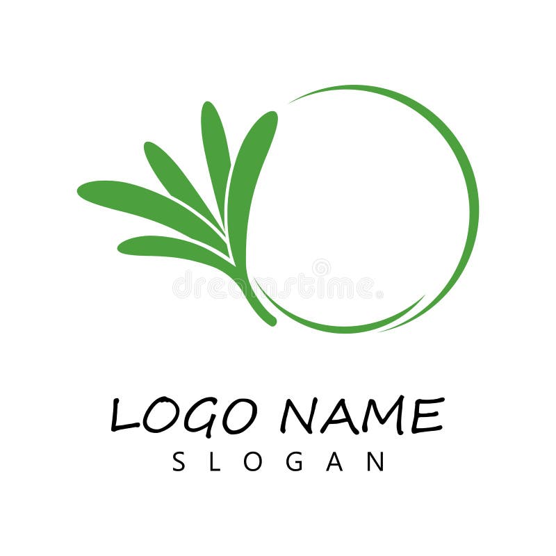 Rosemary Leaf Vector Logo Illustration Template Stock Vector ...