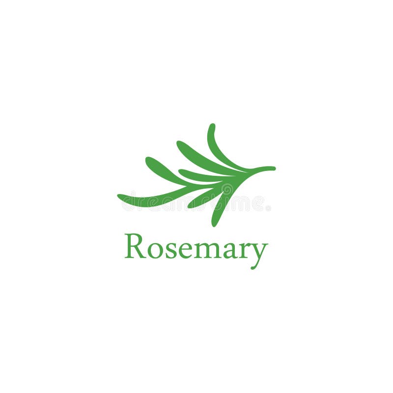 Rosemary Leaf Vector Logo Illustration Template. Stock Vector ...