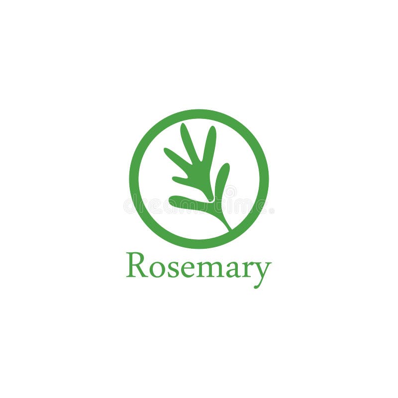 Rosemary Leaf Vector Logo Illustration Template Stock Vector ...