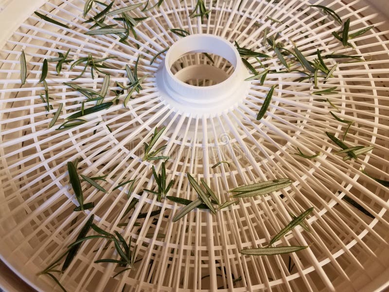 White Plastic Sewer Cleanout Pipe in Yard with Grass Stock Image ...