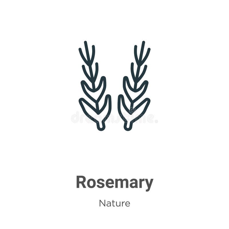 Rosemary Outline Icon Stock Illustrations – 1,057 Rosemary Outline Icon ...