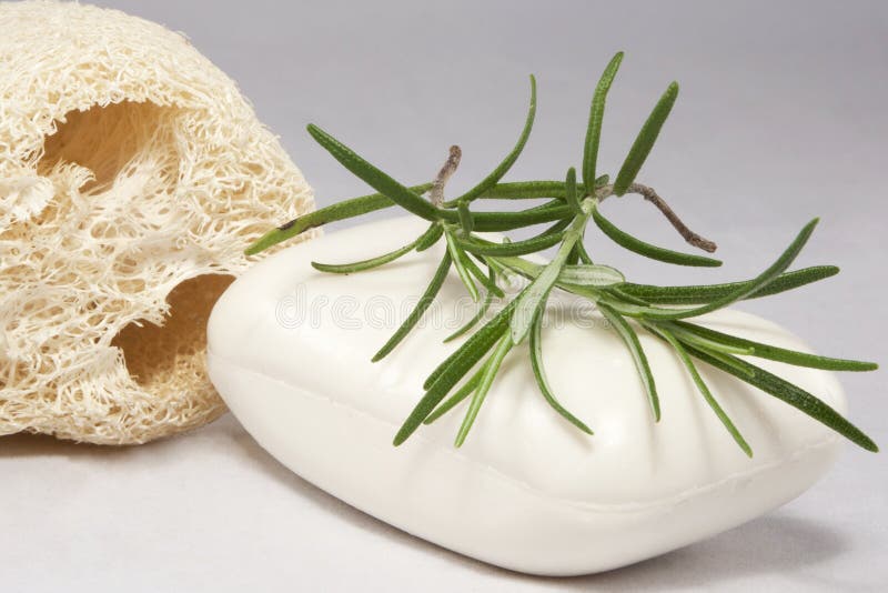 Rosemary Soap stock photo. Image of essence, medicinal - 24639840