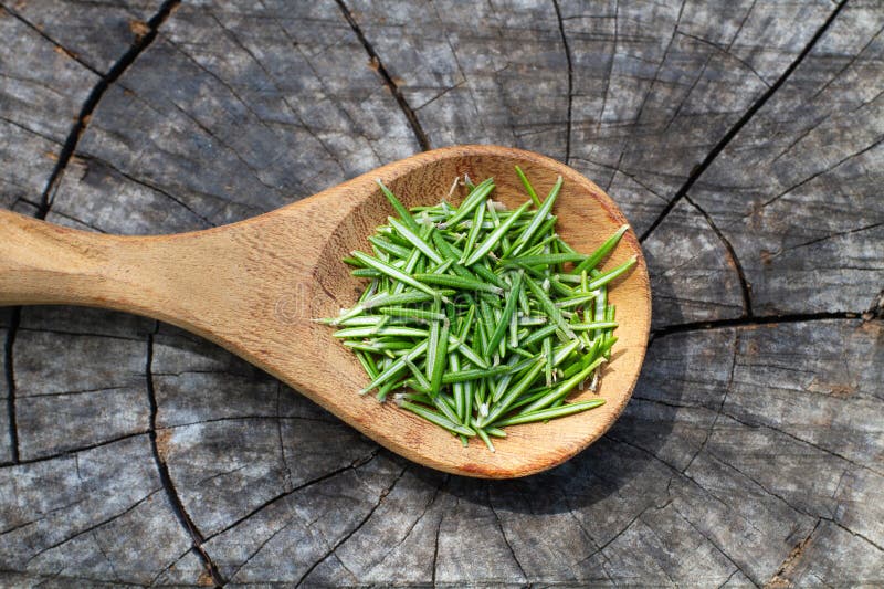 Rosemary on a Wooden Spoon on a Tree Trunk Stock Photo - Image of plant ...
