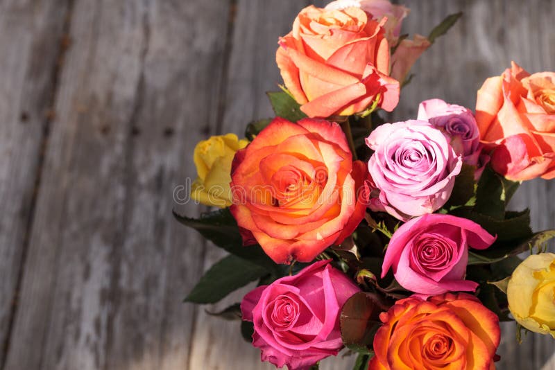 Rosen in Einem Regenbogen Von Farben Stockbild - Bild von frühling ...