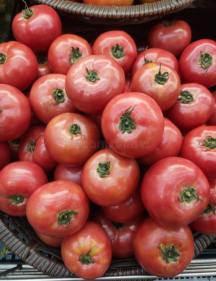 Lili Susanti (Lilisusan) - Photographer profile