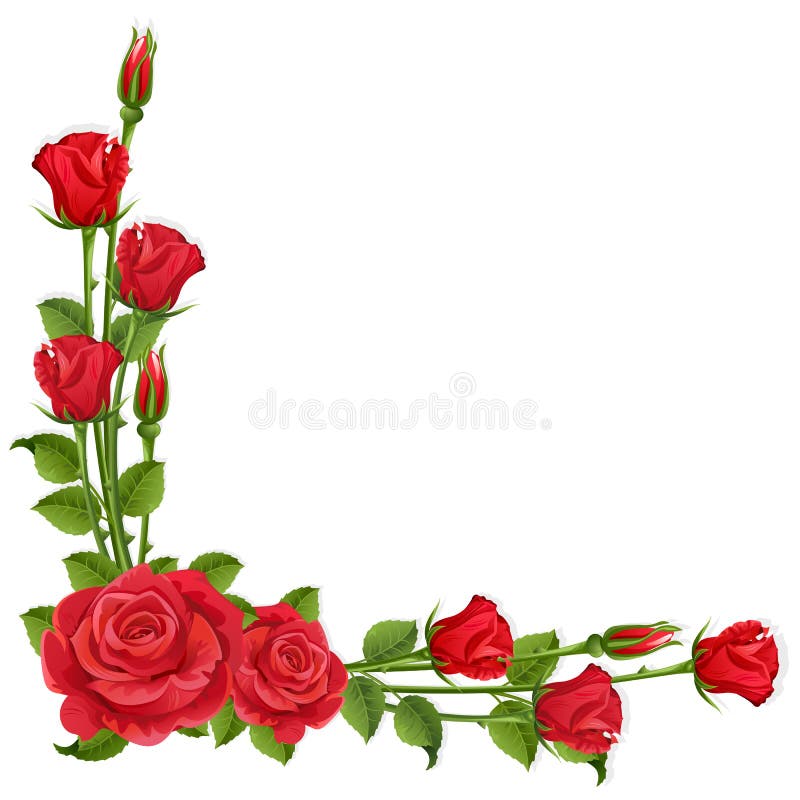 Red roses corner. stock vector. Illustration of leafage - 37856616