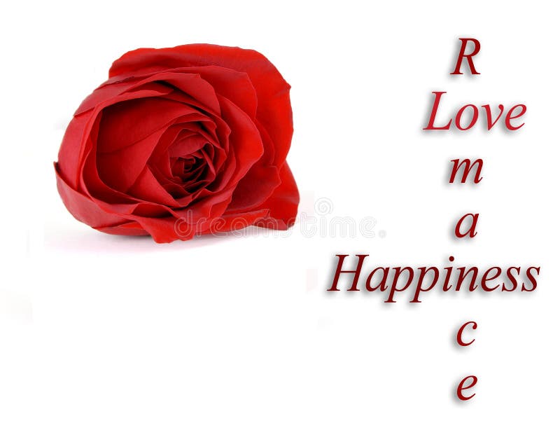 Roses magnify stock photo. Image of flowers, petals, erotic - 180628