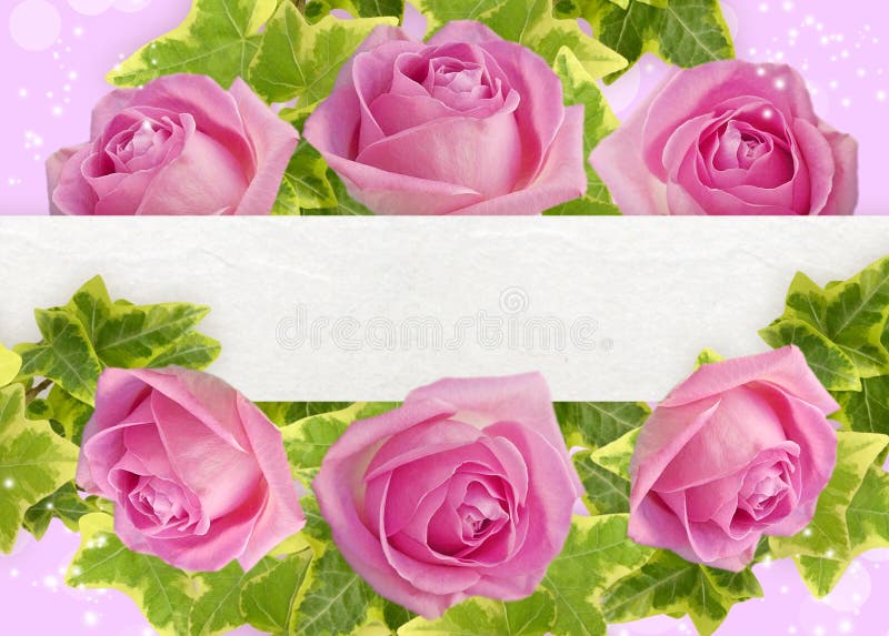 Pink Roses Ivy Stock Illustrations – 94 Pink Roses Ivy Stock ...