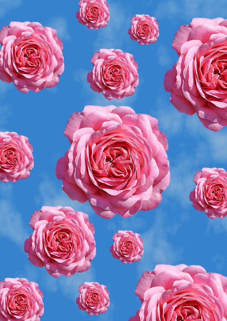 Candy Roses Stock Illustrations – 3,816 Candy Roses Stock Illustrations ...