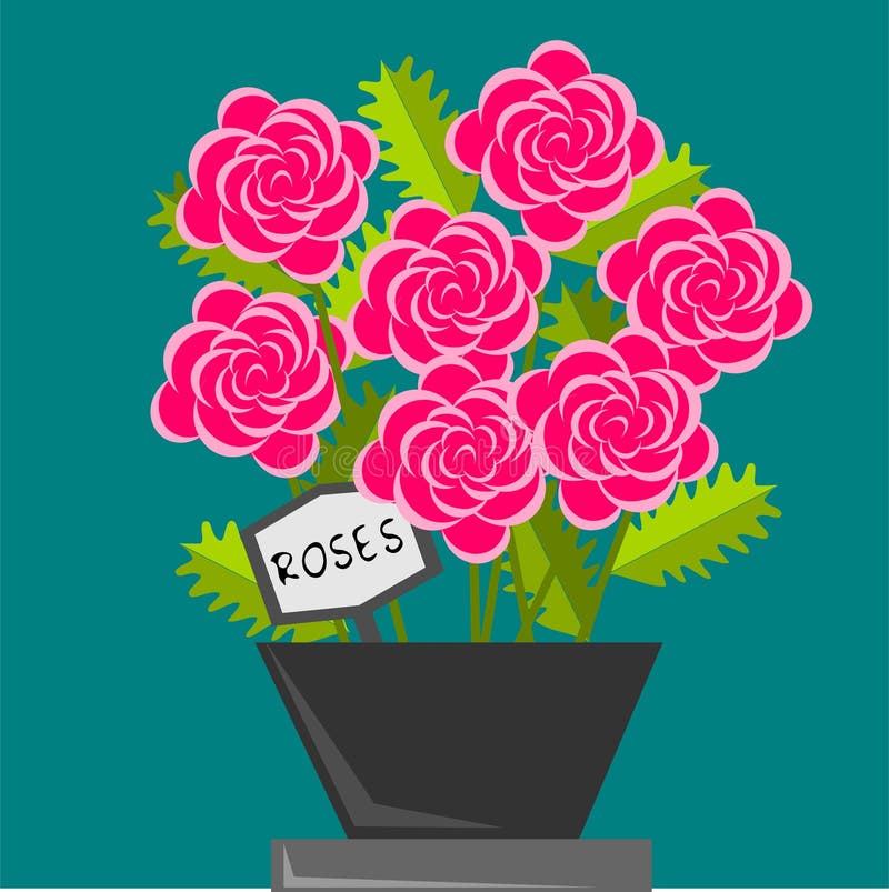 Seven Roses Stock Illustrations – 101 Seven Roses Stock Illustrations ...