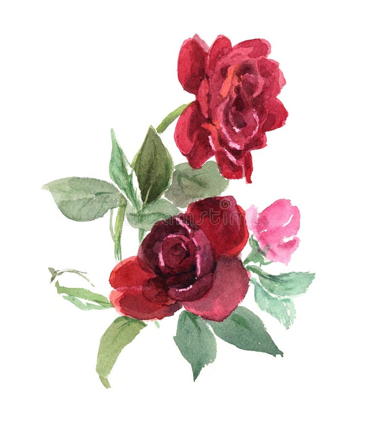 Stylized roses stock illustration. Illustration of nature - 5950011