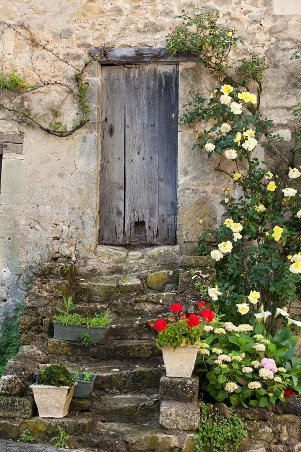 Pink Roses Growing Around a White Door. Stock Photo - Image of roses ...
