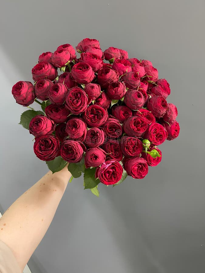 Roses Art Floristic Red Bouqet Stock Image - Image of roses, floristic ...