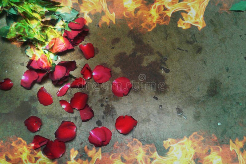 Creative Co Banners Stock Photos - Free & Royalty-Free Stock Photos ...