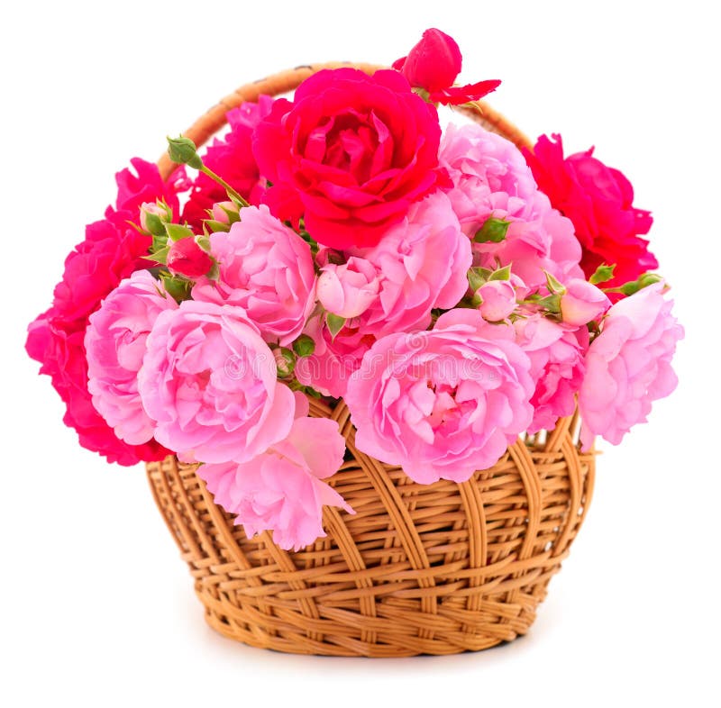 Roses in the basket stock photo. Image of marry, pink - 163946380