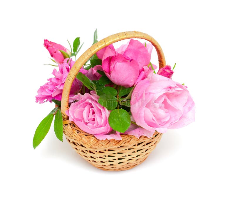 Pink roses in vase stock image. Image of beautiful, marriage - 23283479