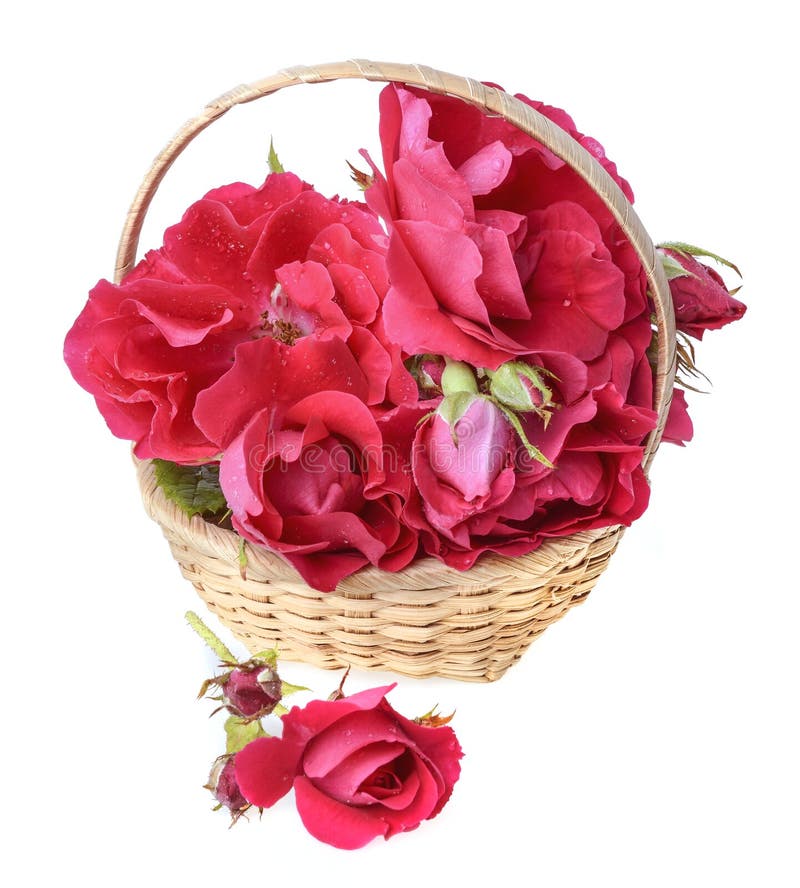 Bouquet of Pink Roses in Basket Stock Image - Image of floristics ...