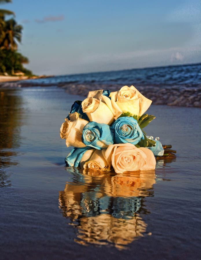 699 Yellow Roses Beach Stock Photos - Free & Royalty-Free Stock Photos ...