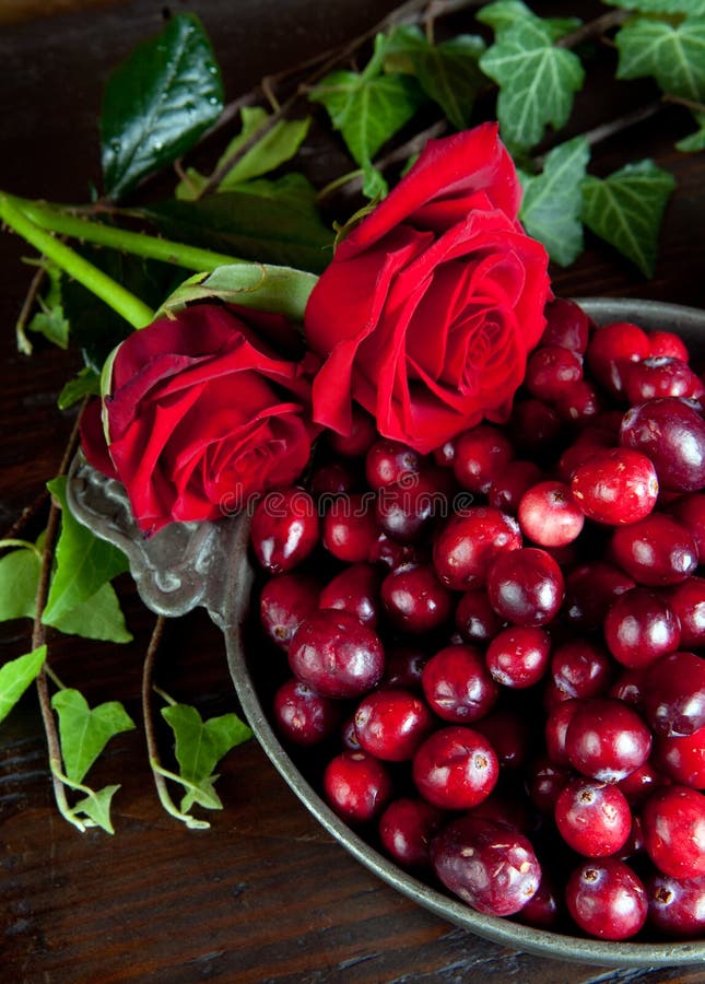 Roses and berries stock image. Image of leaves, season - 27184845