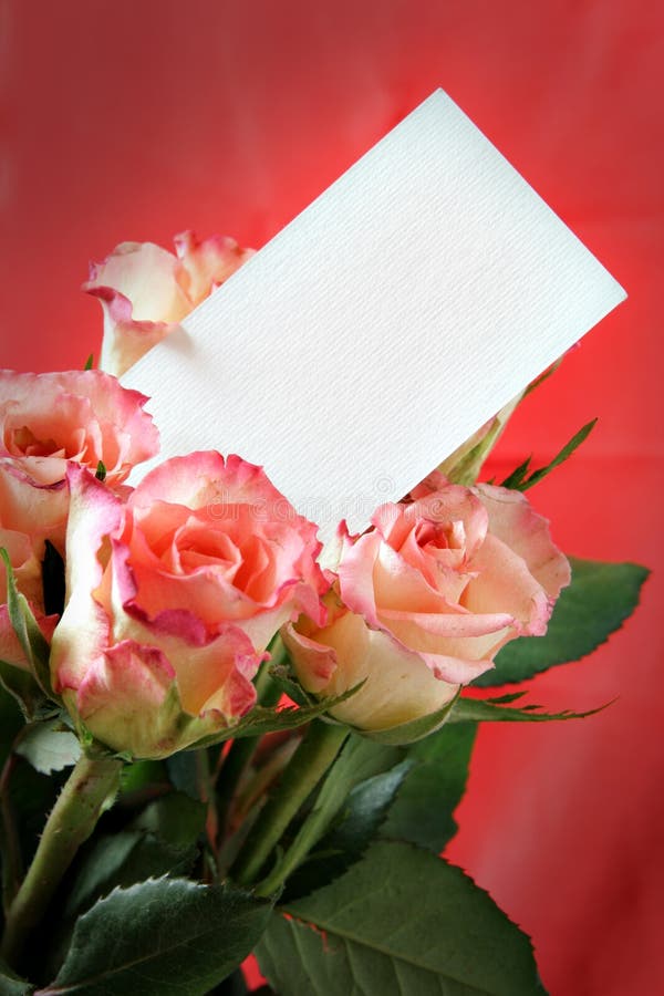 Flowers with card stock image. Image of valentines, roses - 435399